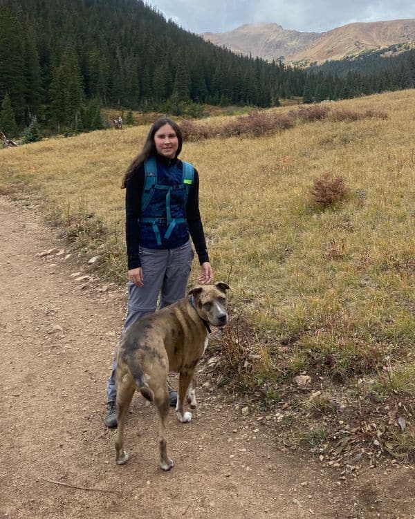 Veterinarian In Denver, CO | Wellshire Animal Hospital